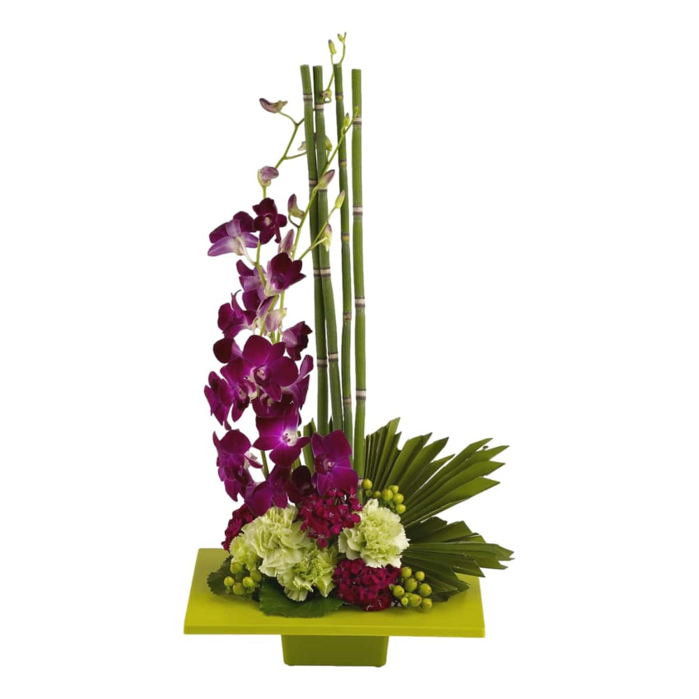 Square Bowl Medium - Container Source
